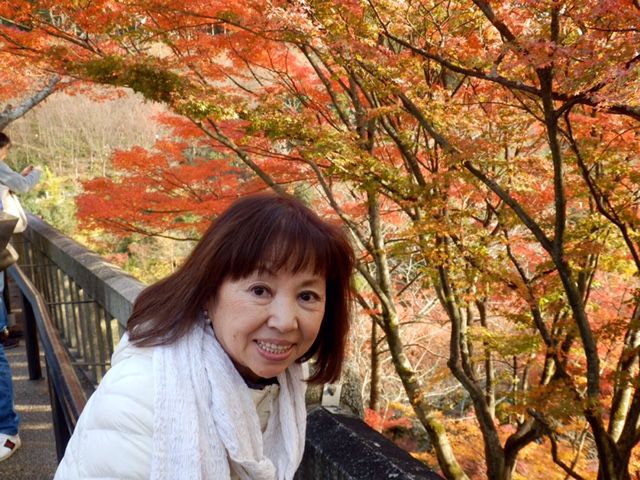 なべおさみの現在！若い頃・嫁や息子・スピリチュアル民間療法まとめ